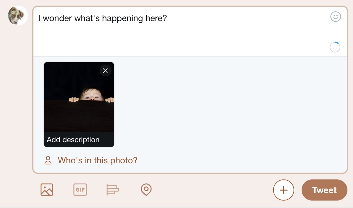 Alt-ing Images: Describing Tweeted Photos – CogDogBlog