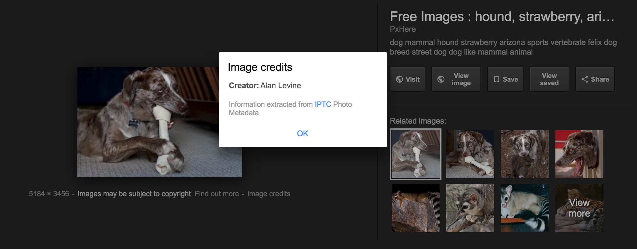 Look At That? Is Google Images Showing Photo Credits Metadata? – CogDogBlog