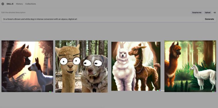 I Choose a Meeting with a talking Alpaca over Twitter Drama Any Day of ...